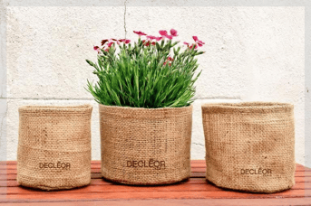 Sustainable Materials: Jute