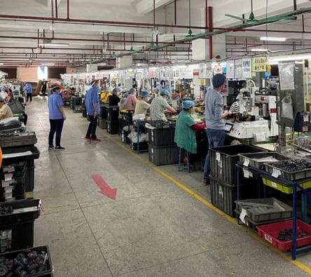 ASL’s Sourcing Team Showcases Best in Class Factory for McDonald’s