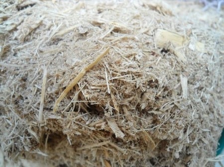 Sustainable Materials: Sugar Cane